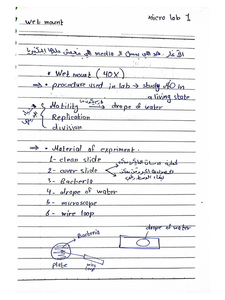 Laboratory Notebook | PDF