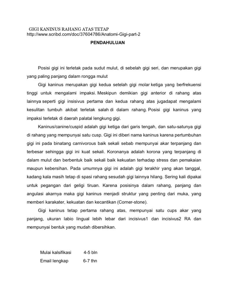 Anatomi dan Fungsi Gigi Caninus | PDF