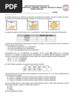 SLUMS Spanish Dementia | PDF