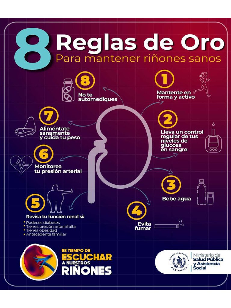 8 Reglas de Oro | PDF
