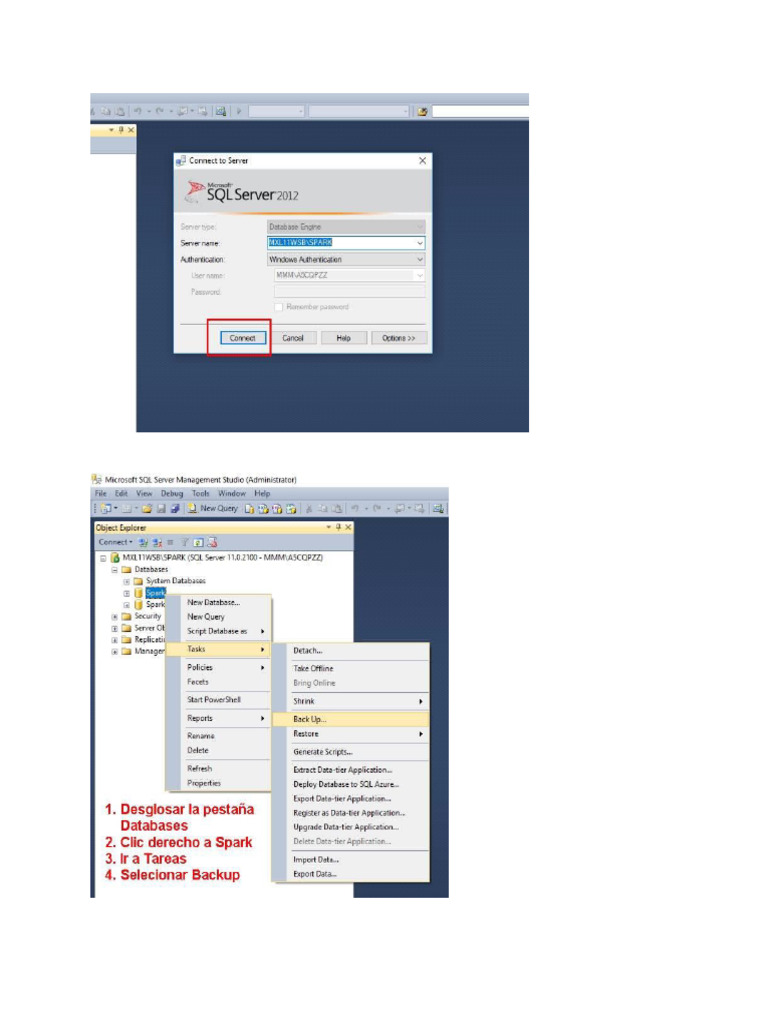 Database Backup | PDF