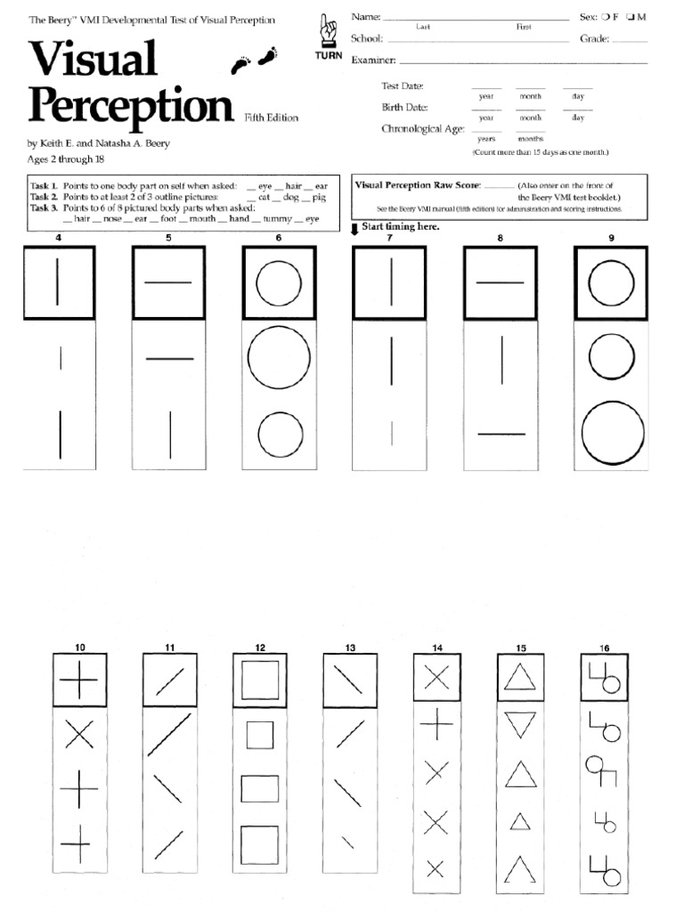 VMI Visual Perception | PDF