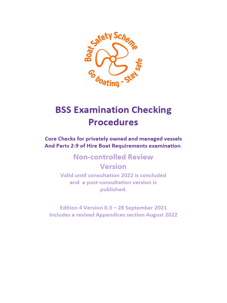 bss-examination-checking-procedures-interim-public-version | PDF | Pipe ...