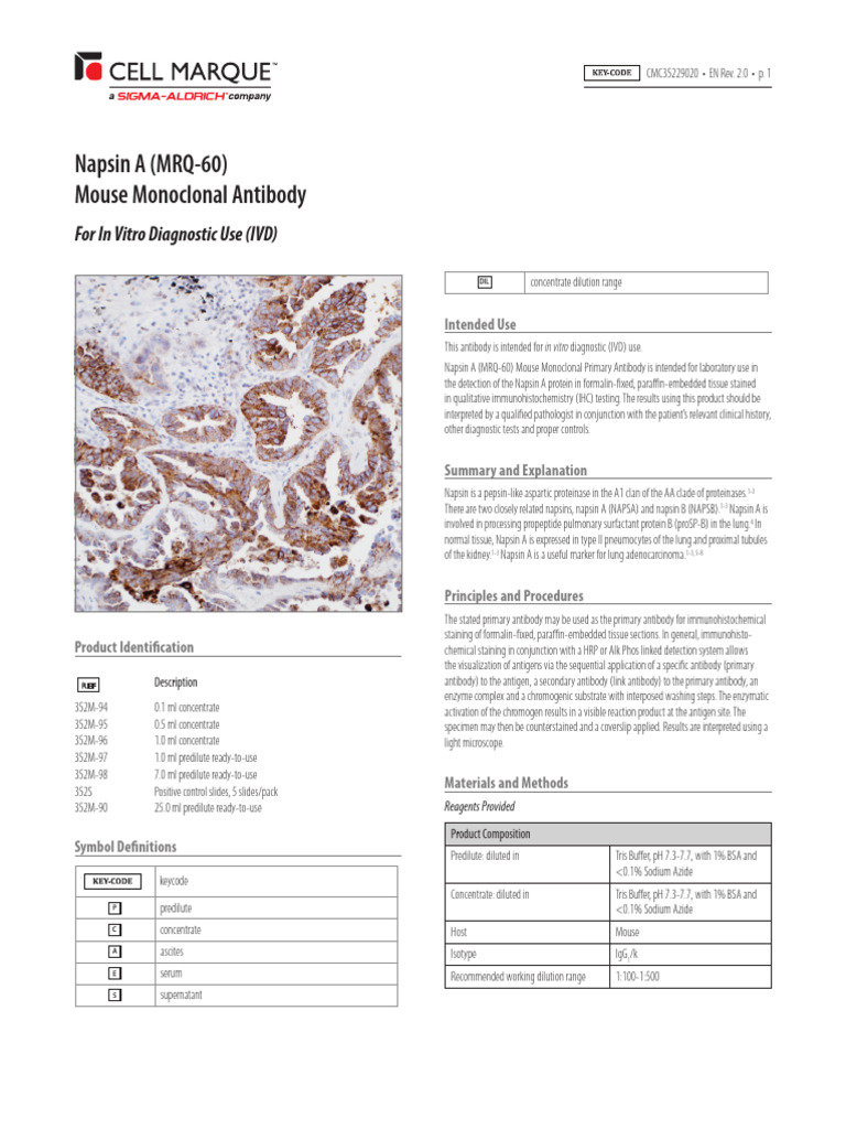 Napsin A (MRQ-60) - CM - MAN - EN - IVD - 2.0 | PDF | Immunohistochemistry | Medical Specialties