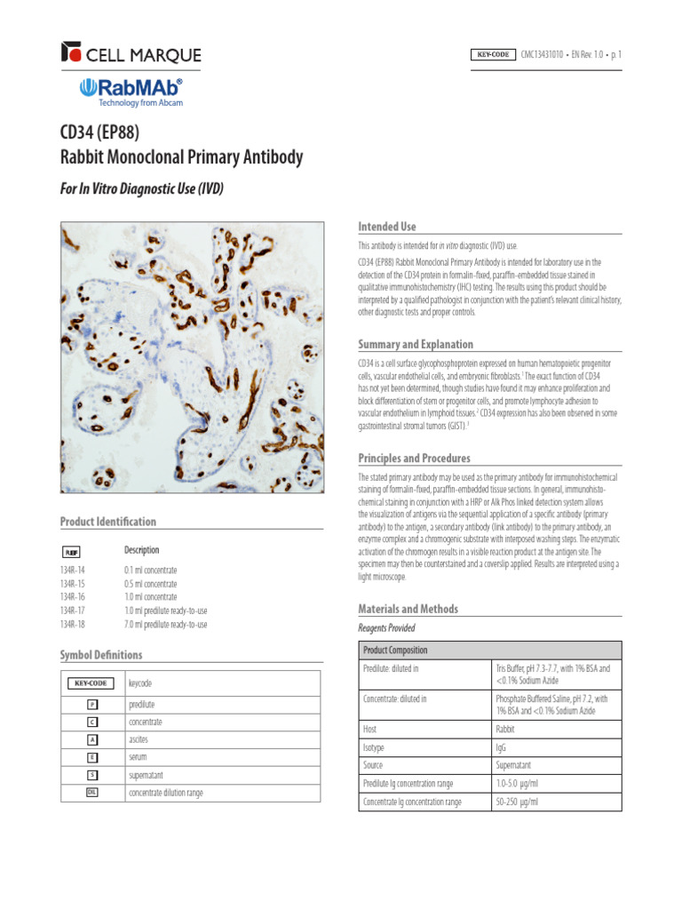 En - CD34 (Ep88) - Rabmab - Man - Ivd - 1.0 | PDF ...