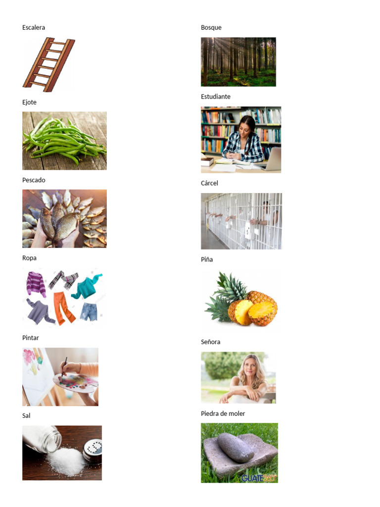 Vocabulario Ves | PDF