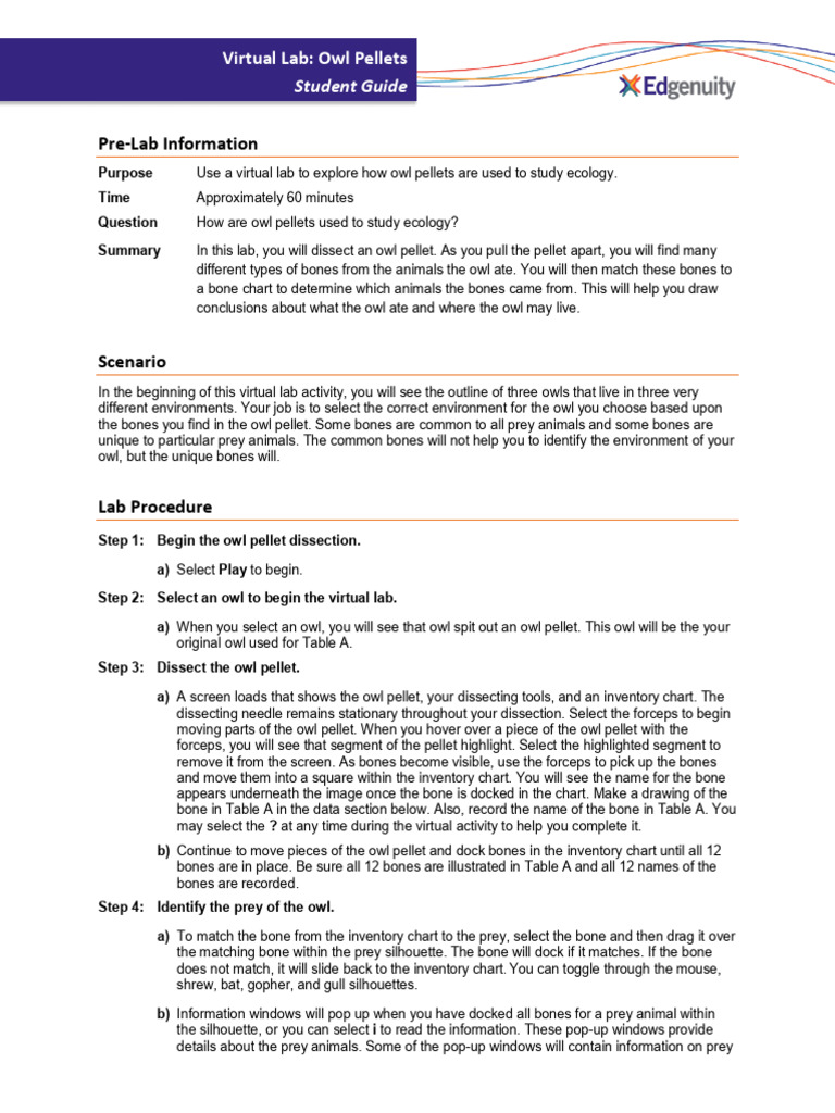 Virtual Lab Guide - Snakes-Student Guide | PDF | Owl