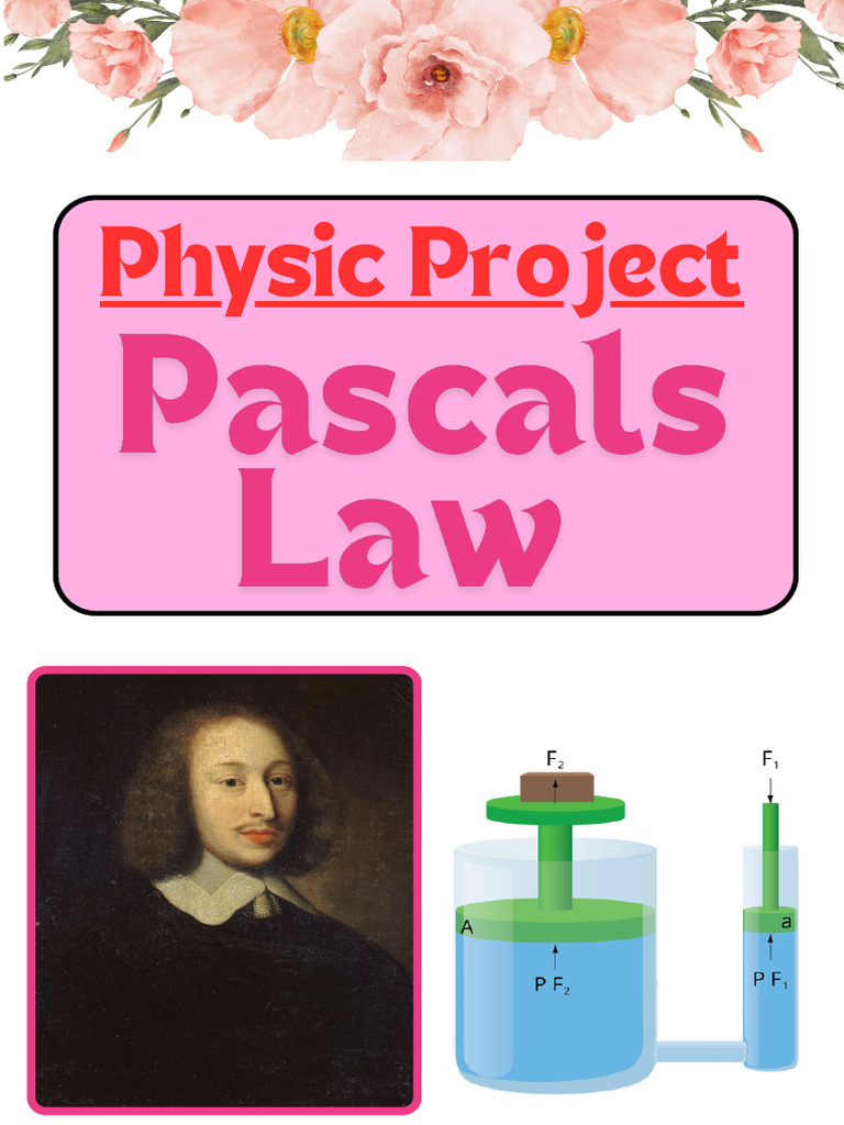 Physics- Pascals Law | PDF | Pressure | Hydraulics