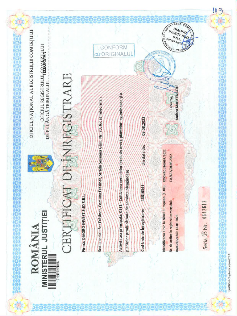 Documente Forma Organizare | PDF