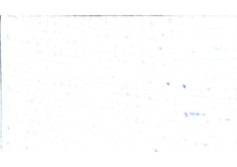 PDFReader_20241024_2039 | PDF