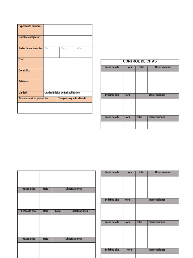 Formato Carnet para Citas | PDF