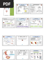 Résumé Des Cours 3AC SVT PR - NACIRI | PDF | Sang | Nutrition