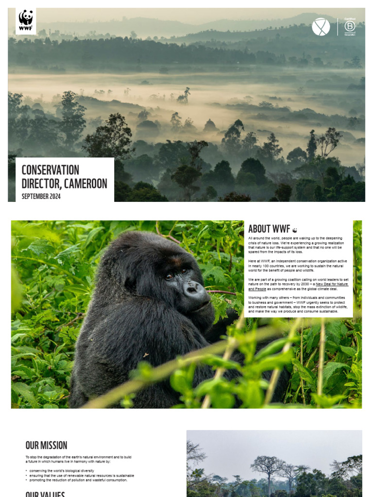 WWF - Conservation Director Cameroon | PDF | Conservation Biology ...