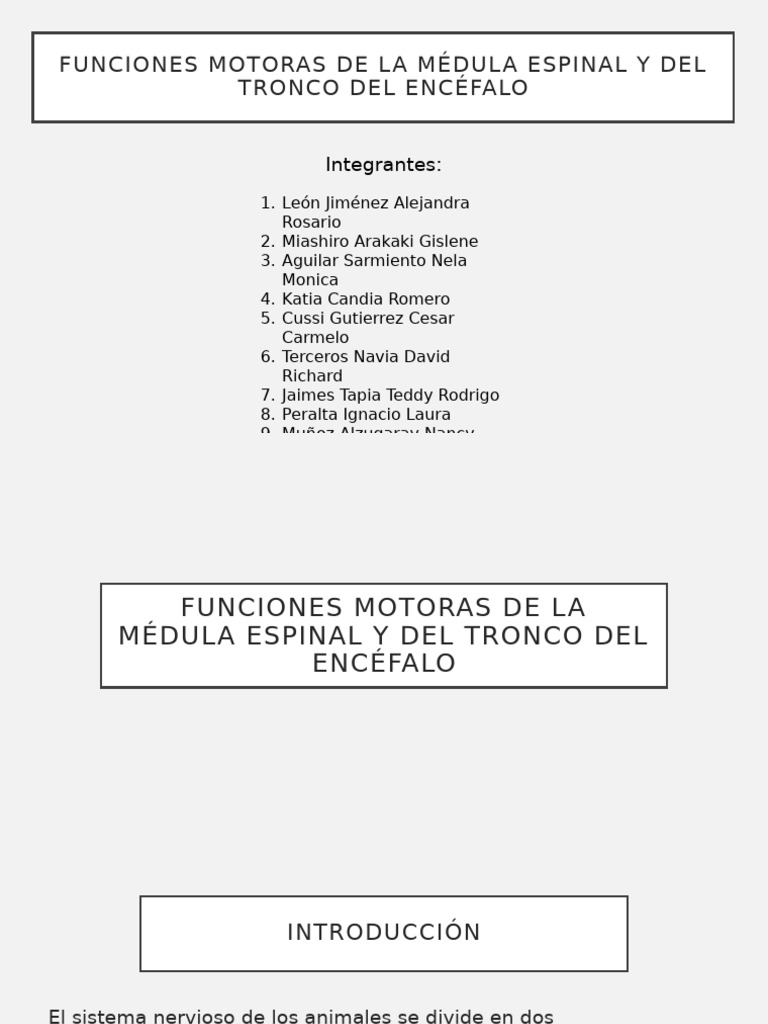 Funciones Motoras Tema12 | PDF | Neurona | Cerebro