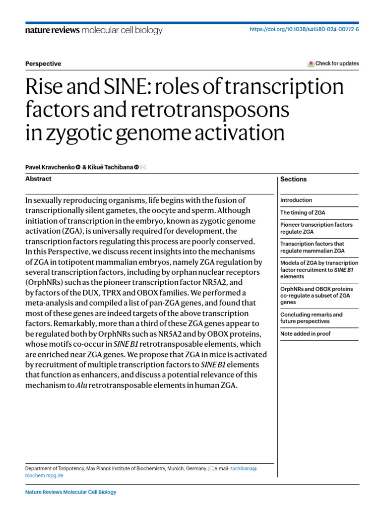 Rise and SINE | PDF | Transcription Factor | Cell Potency