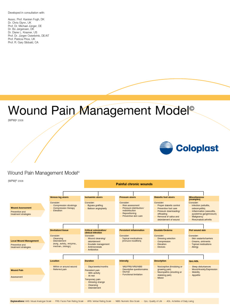 WoundPainManagementModel | PDF | Pain | Wound