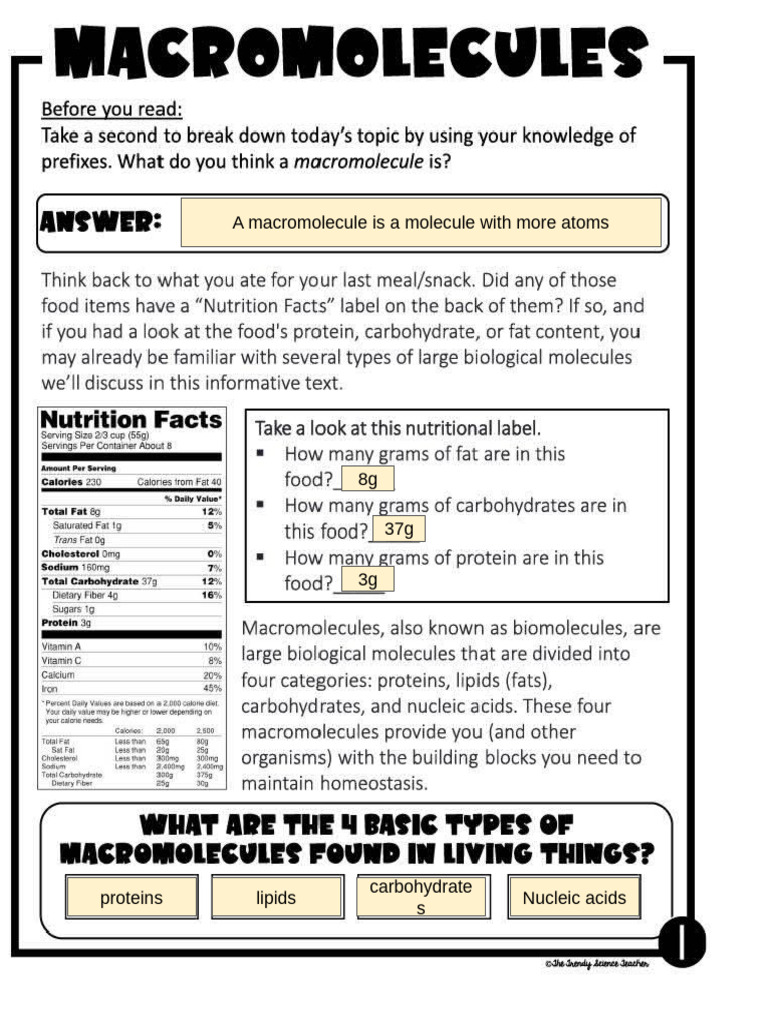 Intro to Macromolecules | PDF