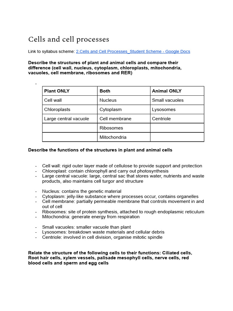 Cells and cell processes | PDF | Cell (Biology) | Osmosis