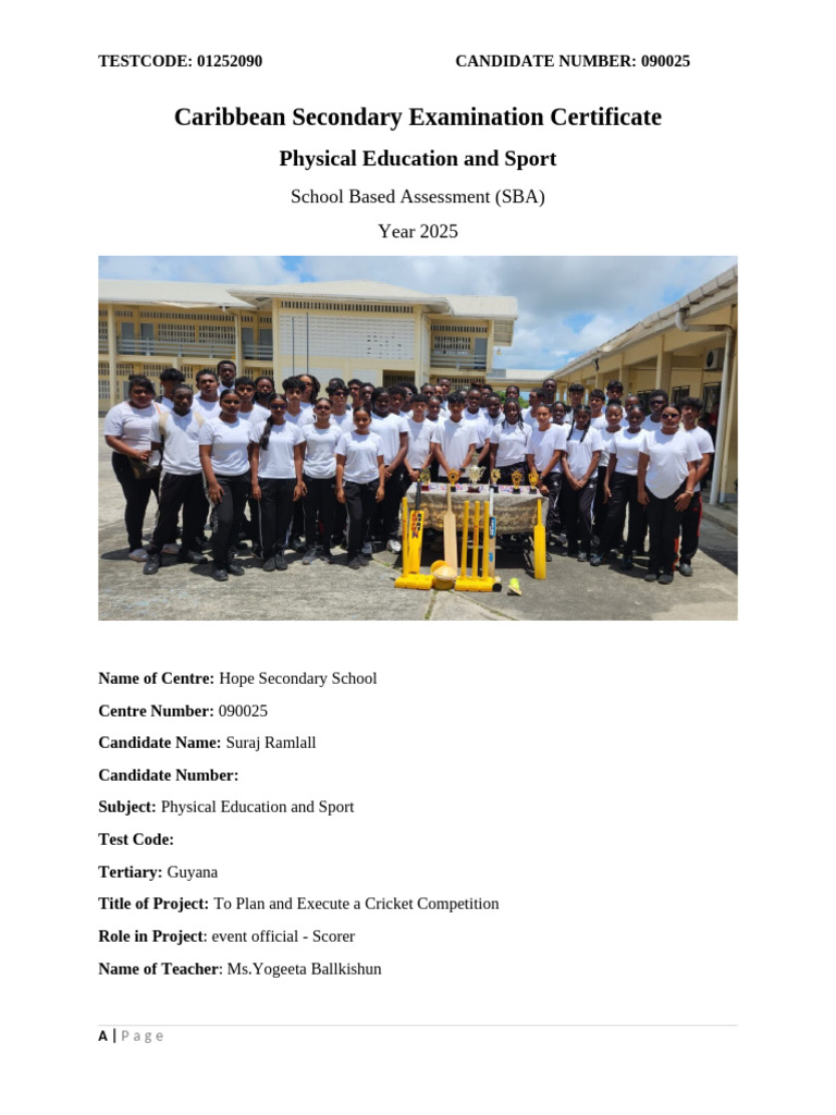 Cricket Competition Project Overview | PDF | Cricket | Bowling (Cricket)