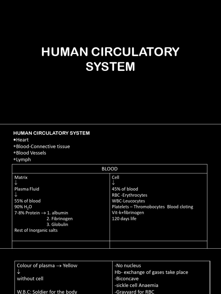 Bio (Human Circulatory System) | PDF | Blood | Heart
