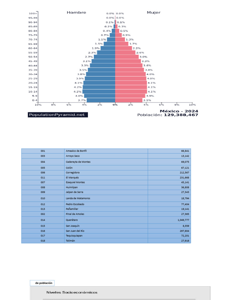 piramide de poblacion | PDF