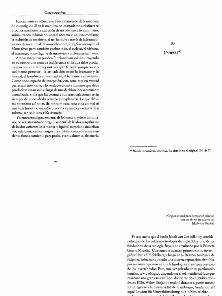 Agamben - Abierto-39-46 | PDF | Ciencias sociales | Filosofía