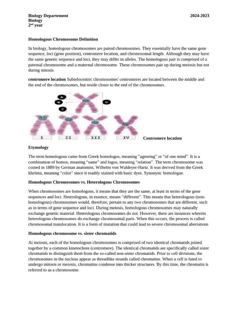 Homologous Chromosome Definition | PDF | Chromosome | Meiosis