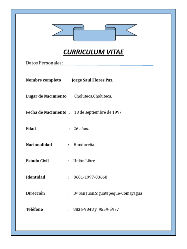 Curriculum Vitae Jorge Flores | PDF
