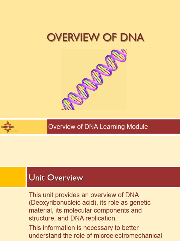 DNA Overview Presentation | PDF | Dna Replication | Dna