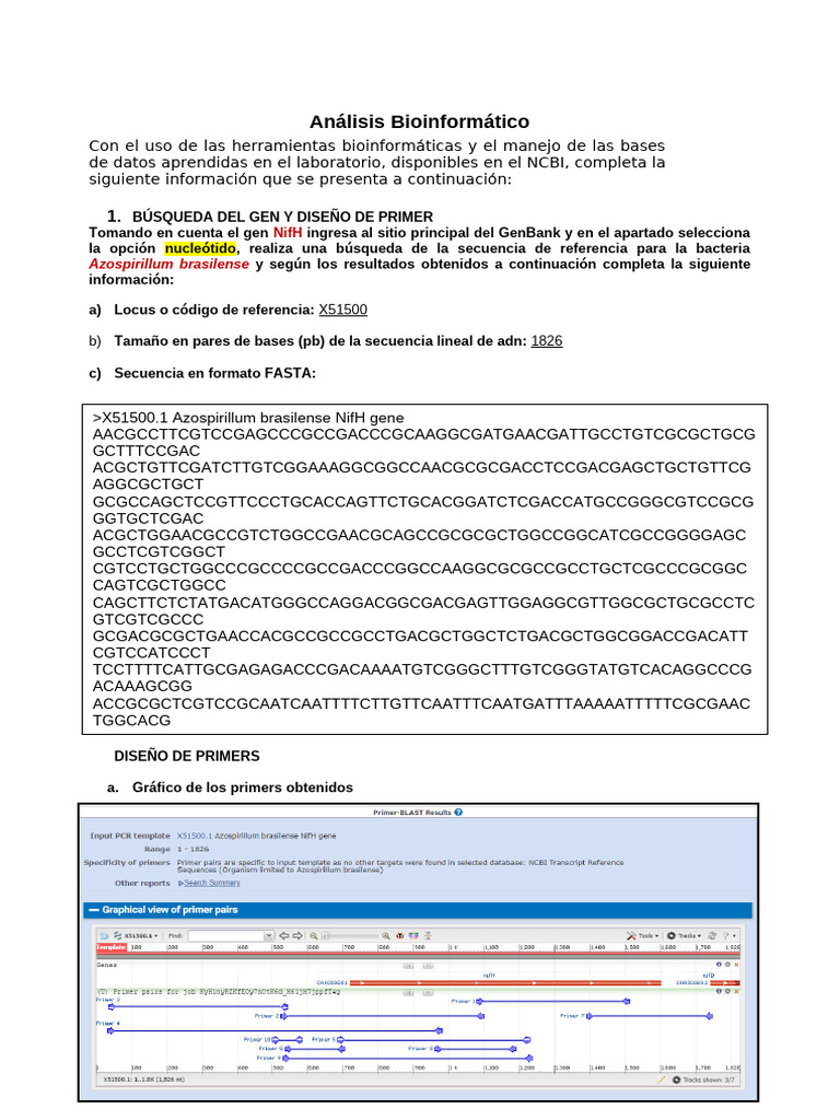 Guia de Lab #3 Bioinformatica (Biología 1) IIPAC 2024 | PDF | Primer (Biología Molecular ...