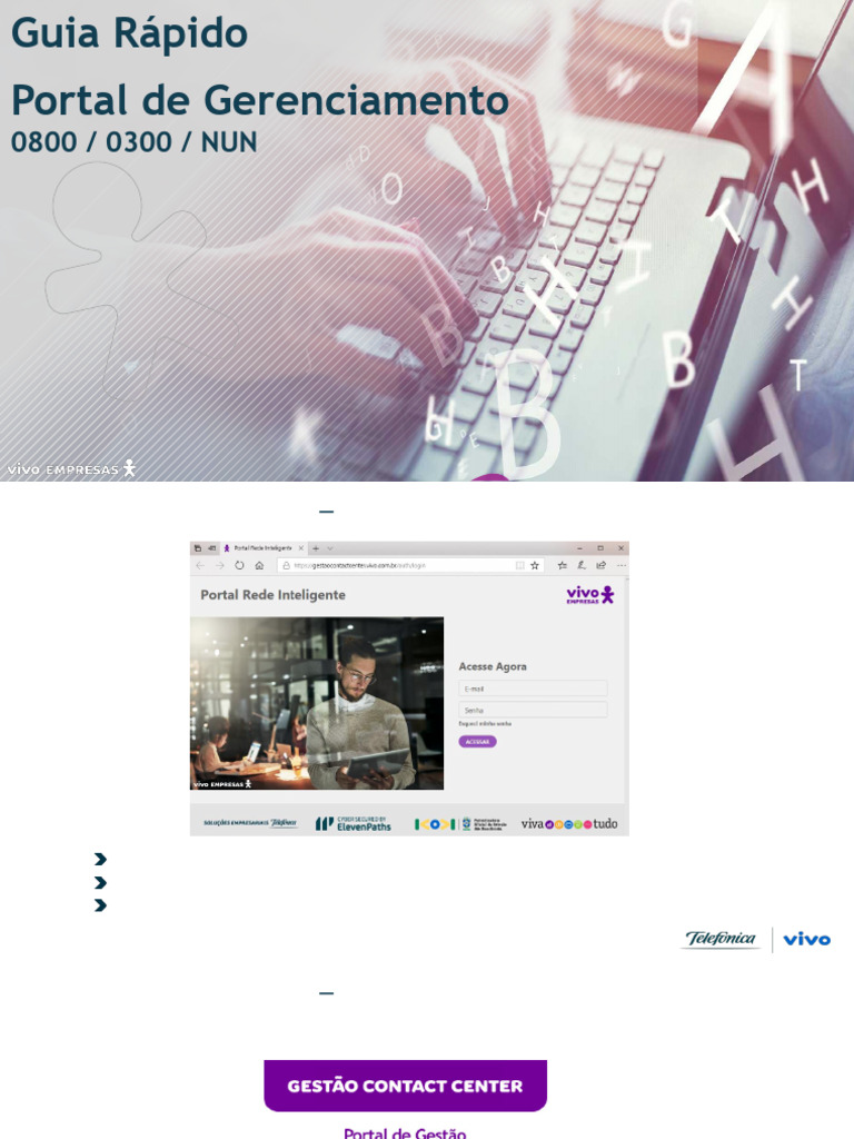 Guia_Rapido-Portal_de_Relatorios | PDF | Usuário (informática) | Informática