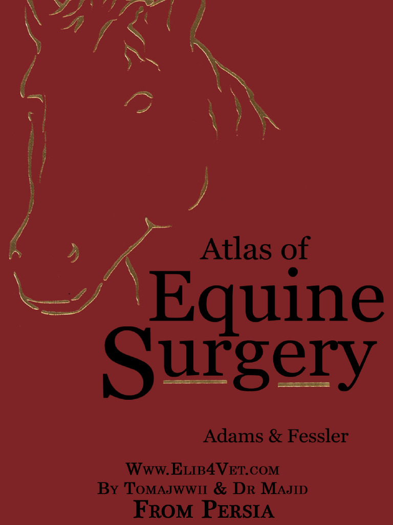 Atlas of Equine Surgery | PDF