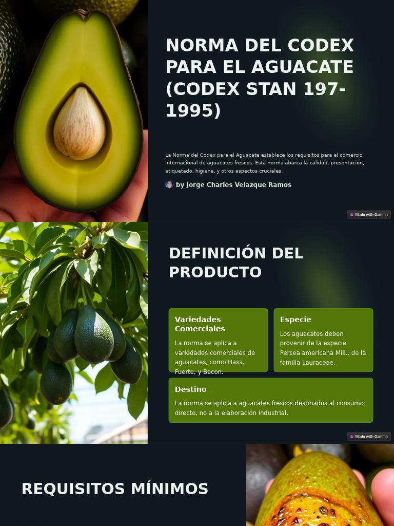 Norma Del Codex para El Aguacate Codex Stan 197 1995 | PDF | Aguacate | Pesticida