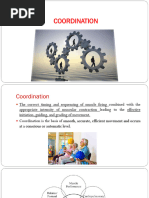 BOT-2 Complete Form Sample Report PDF | PDF | Motor Coordination ...