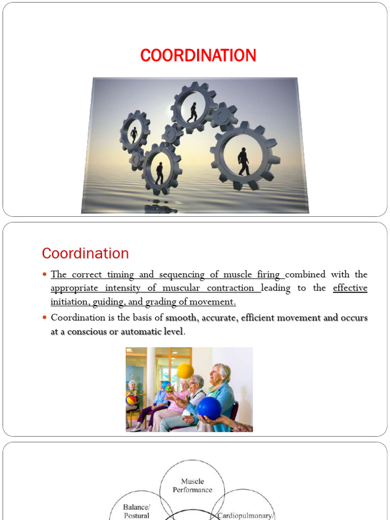 13-Coordination Exercise | PDF | Anatomical Terms Of Motion | Cerebellum