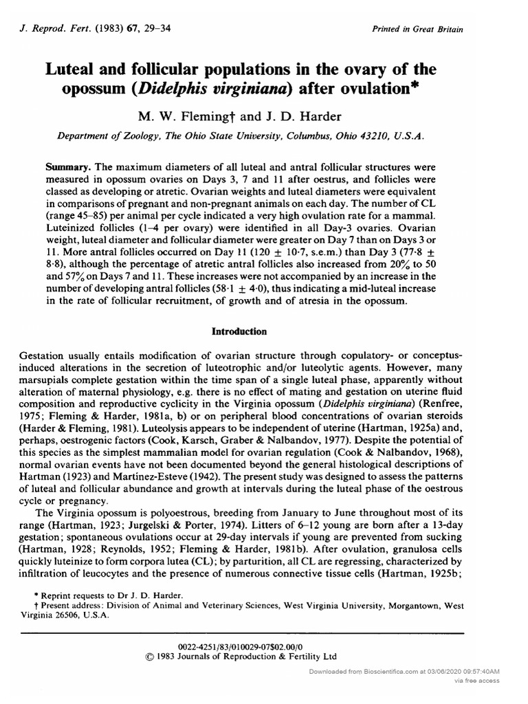Opossum Ovarian Cycles Study | PDF | Ovary | Female Mammals