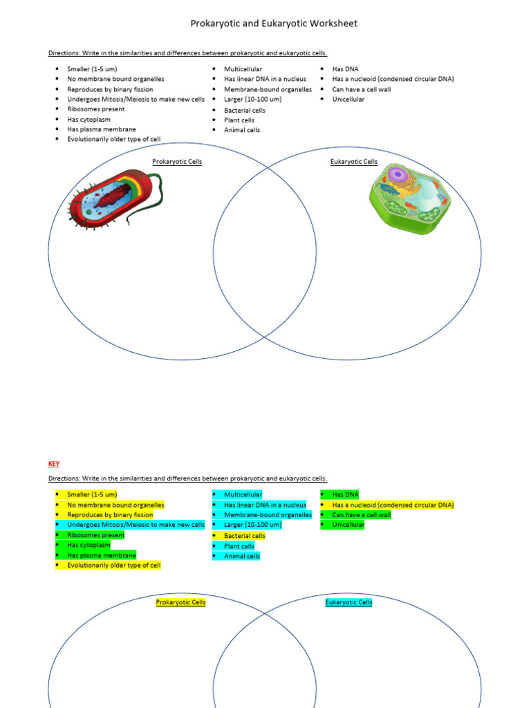 Prokaryotic vs Eukaryotic Cells Explained | PDF | Cell (Biology ...