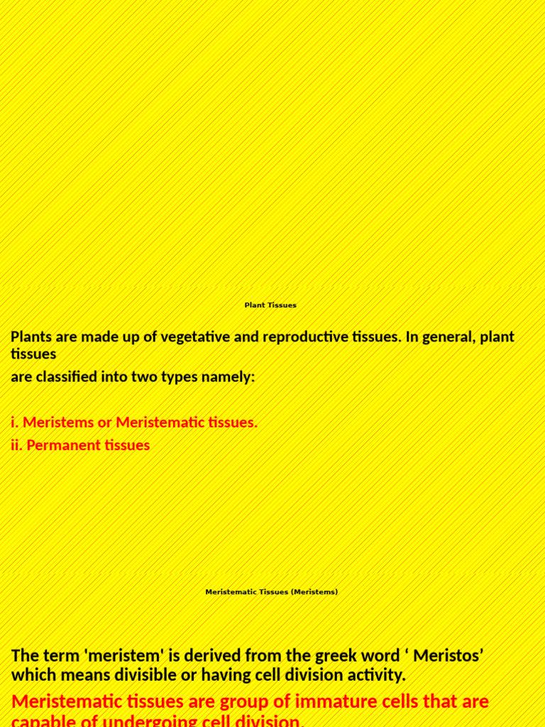 Organization of Tissues Science | PDF | Meiosis | Mitosis