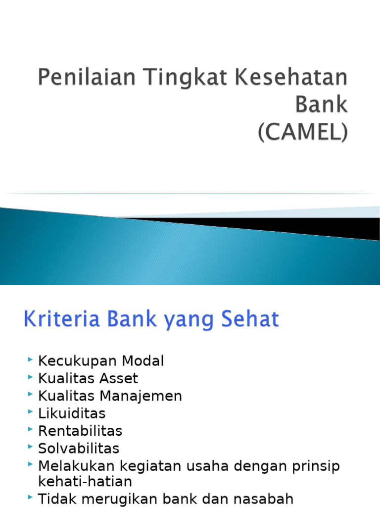 Kuliah 15 Penilaian Tingkat Kesehatan Bank 2003 | PDF