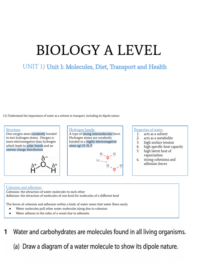 BIOLOGY A LEVEL | PDF | Carbohydrates | Polysaccharide