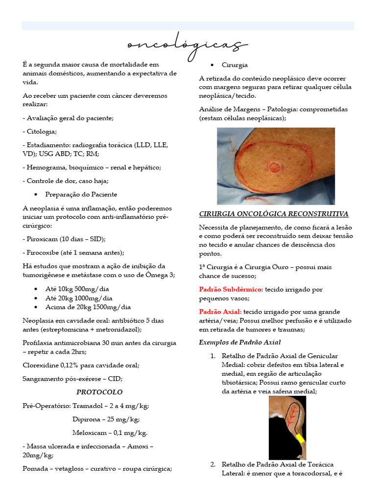 Onco Cirurgia 8p | PDF | Neoplasmas | Cirurgia