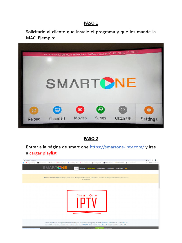 Cargar Lion en Smar One | PDF