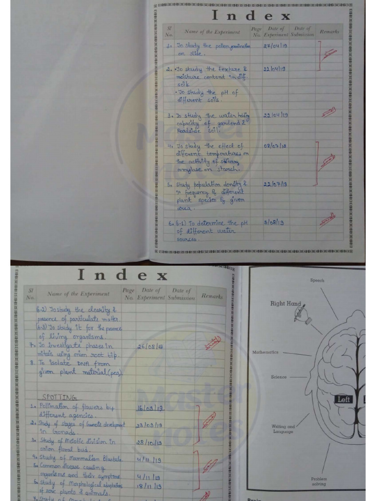 Bio-Practical-File-2023 | PDF