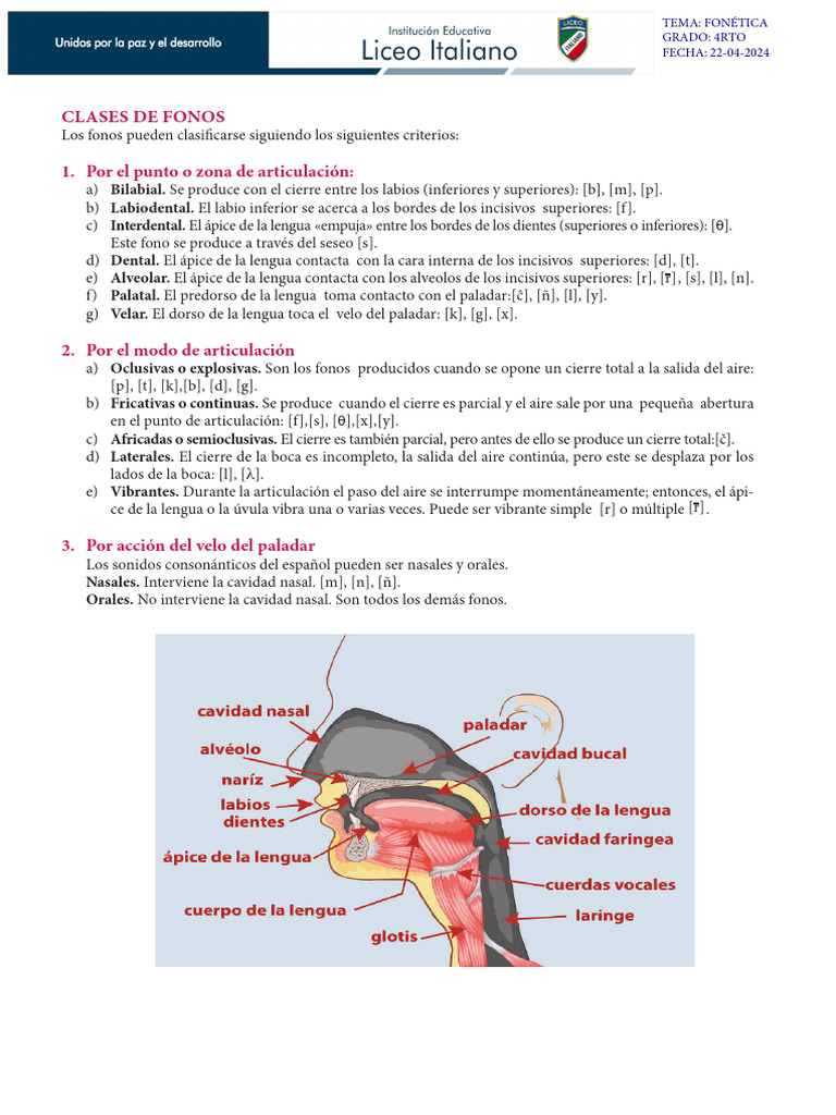 Clases-de-Fonos FICHA - Para-22-04 | PDF | Fonética | Fonema