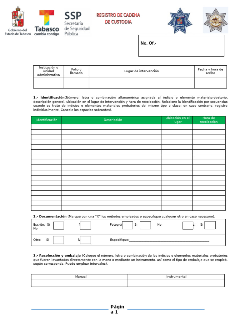 Registro de Cadena de Custodia | PDF