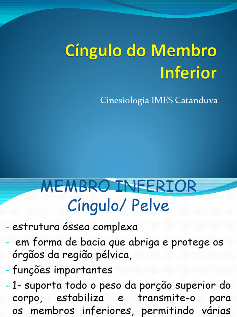 AULA Cíngulo membro inferior | PDF | Pélvis | Quadril