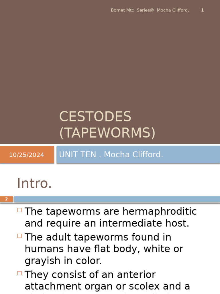 Cestodes (Tapeworms) | PDF | Animals And Humans | Protostomes
