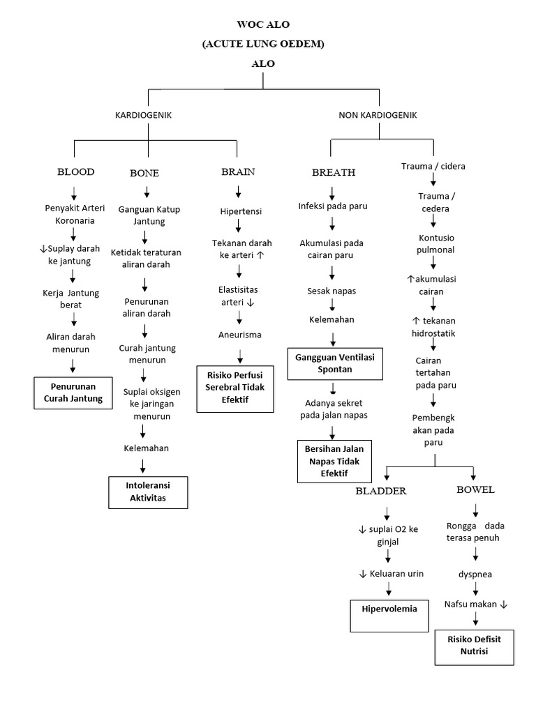 woc alo 6b (2) | PDF