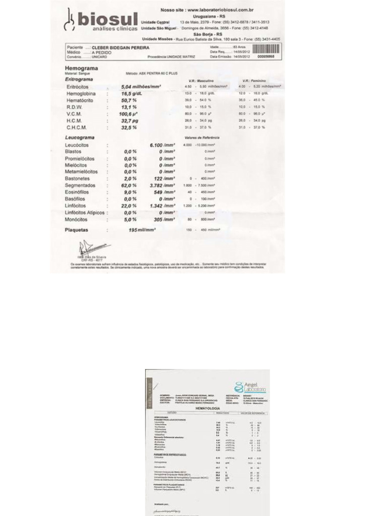 Pruba de Sangre | PDF