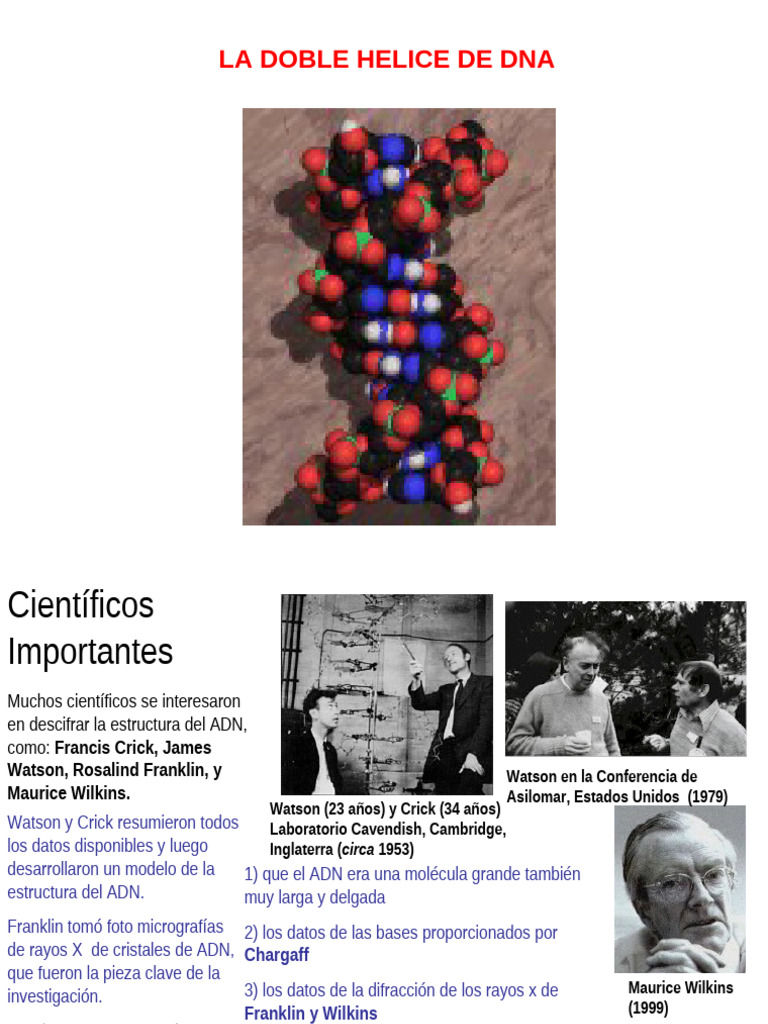 7,1 Adn y Arn (Ui-1.4) | PDF